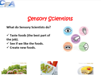 KS2 Sensory Scientists (Taste) Lesson Plan – chilledfoodassociation